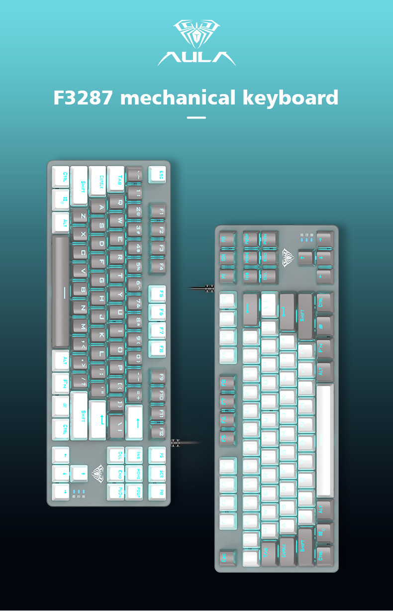 AULA F3287 MECHANICAL GAMING KEYBOARD - AULA THAILAND
